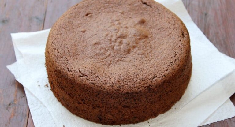 Chocolate sponge cake