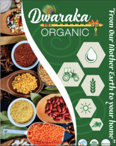 Types of Rajma | Best Rajma Types By Dwaraka Organic